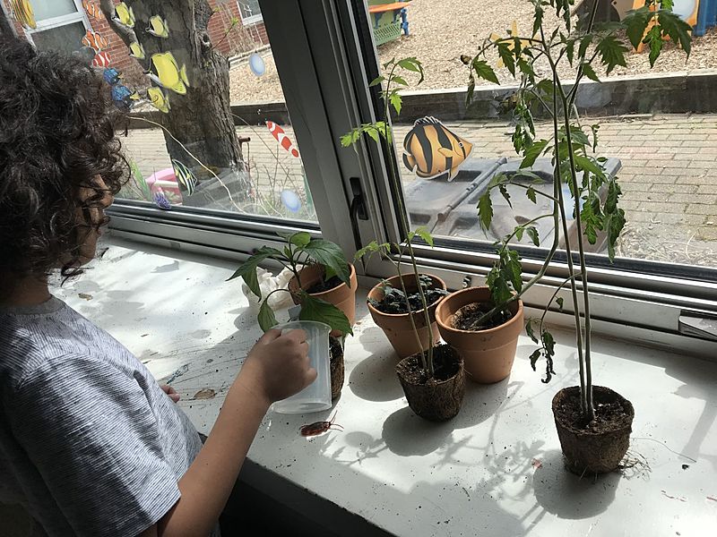 Community Programs Accelerator